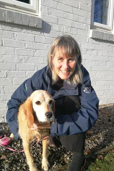 Meet the Team - Veterinary Surgeons | Millcroft Vets