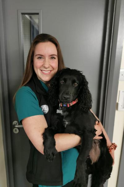 Meet the Team - Directors | Millcroft Vets